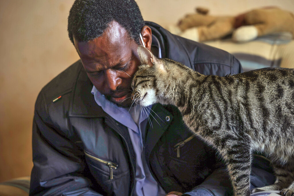 Pet rescue in Gaza: one man’s mission to care for abandoned animals ...